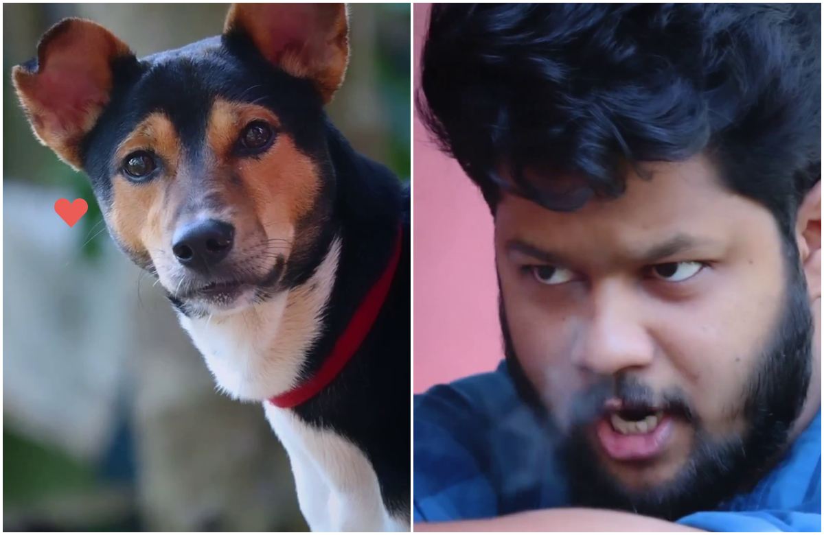 ഈ അലവലാതിക്ക് പോലും സെറ്റായി.!! ആരാധകരിൽ ചിരി പടർത്തി സാന്ത്വനം ...